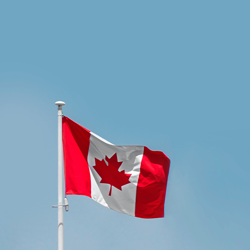 About – CHAINMASTER